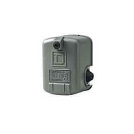 Drukschakelaar Square D FSG2 230V